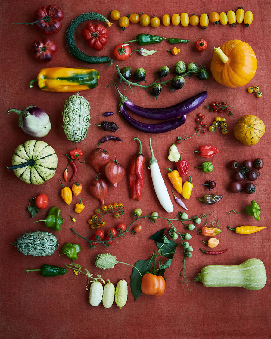 Spice is Nice · Noma Projects