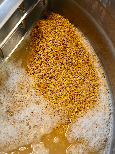 Maximum Umami? · Noma Projects