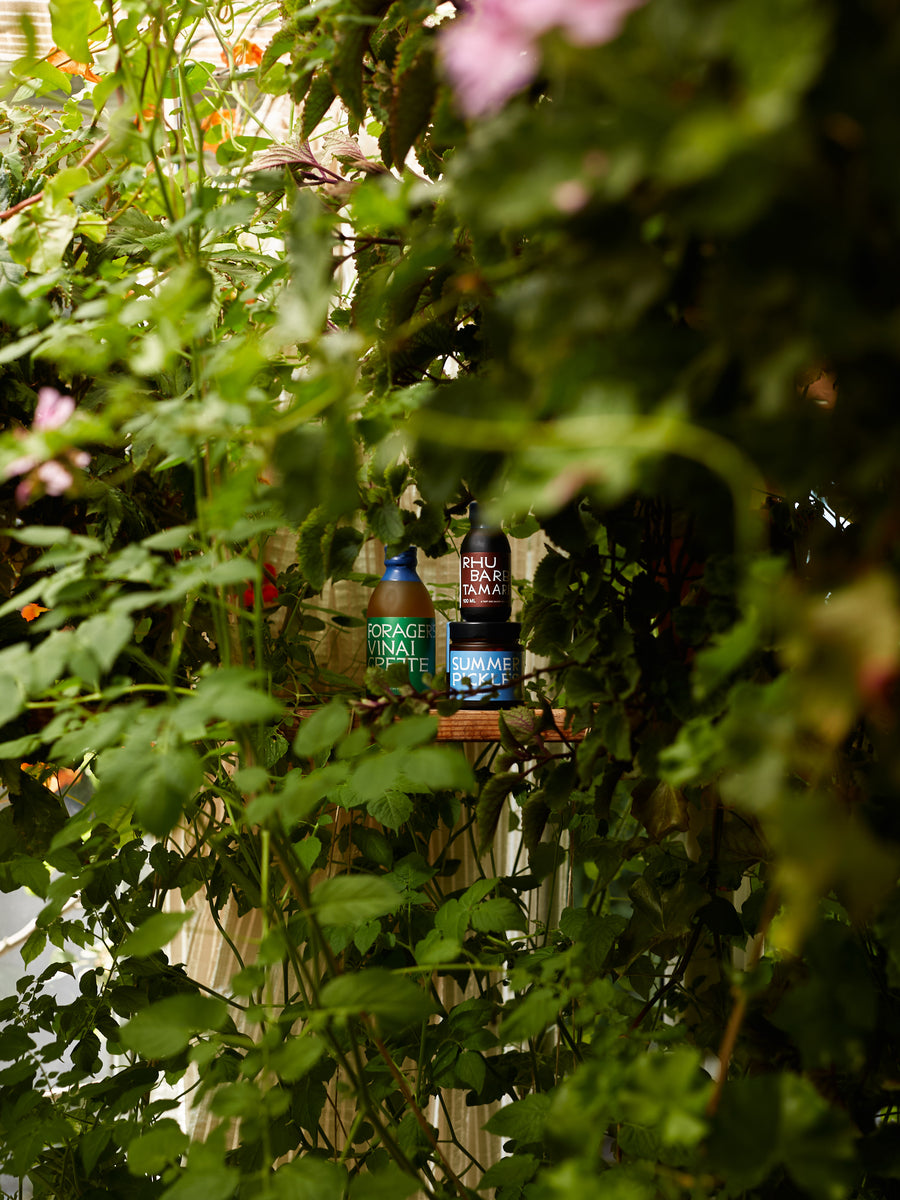 From the noma kitchen to yours · Noma Projects