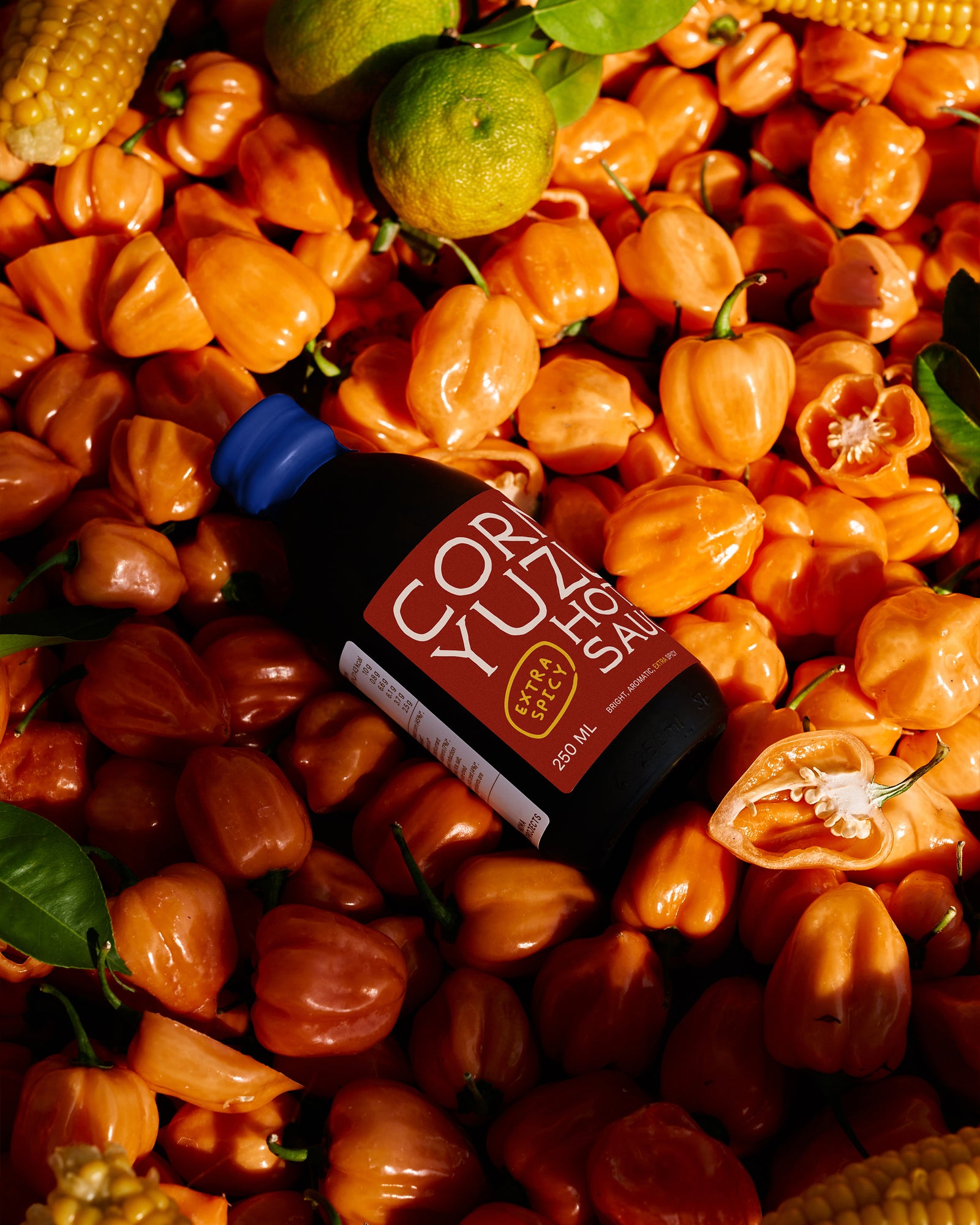 Corn Yuzu Hot Sauce | Noma Projects · Noma Projects