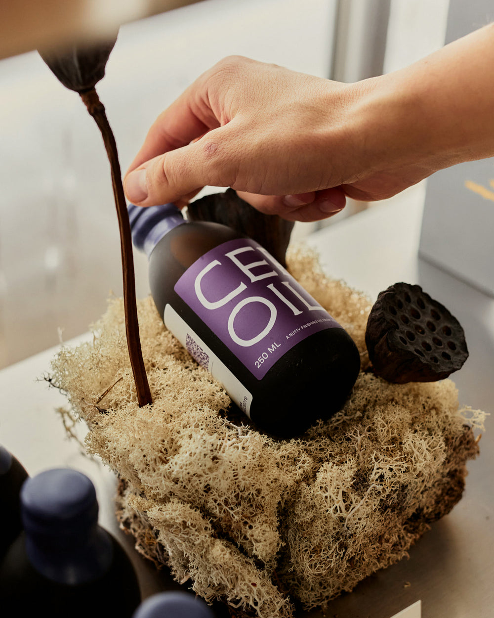 Cep Oil | Noma Projects · Noma Projects