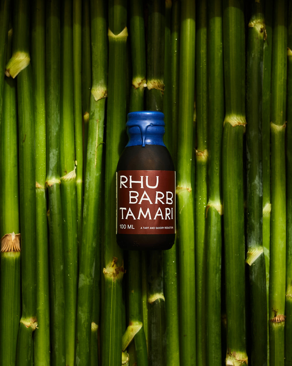 Rhubarb Tamari | Noma Projects · Noma Projects