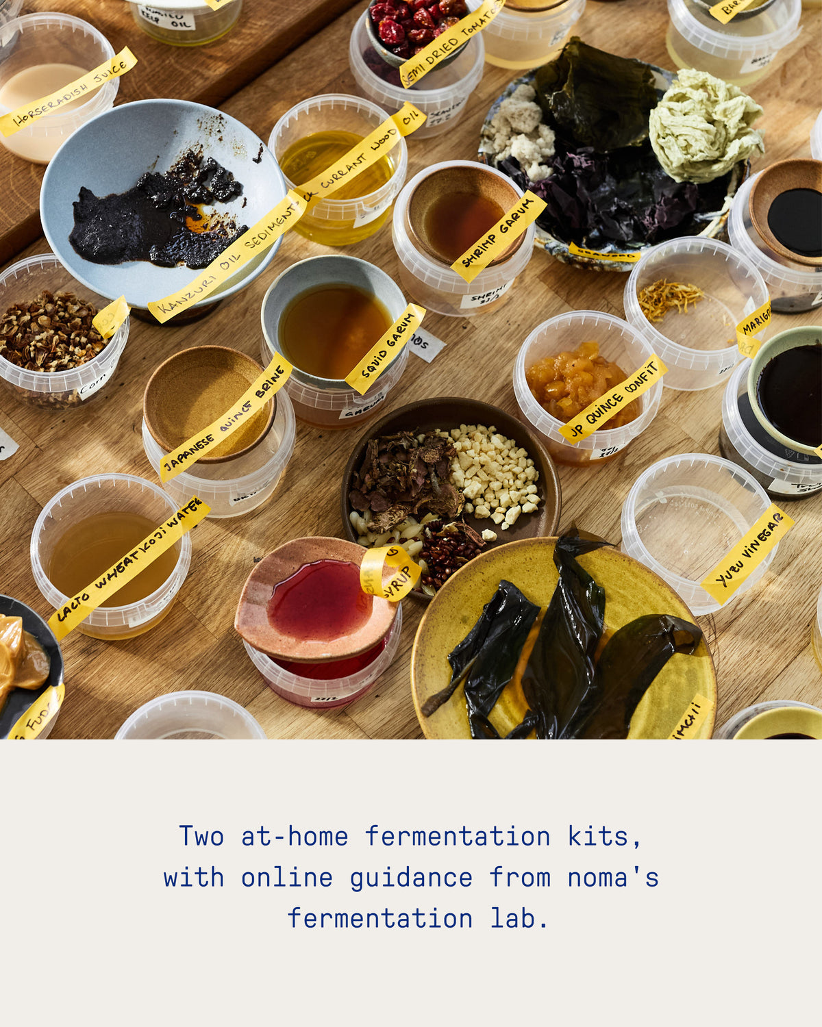 Taste Buds Membership | Noma Projects · Noma Projects