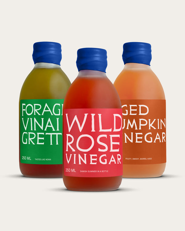 Collections · Noma Projects