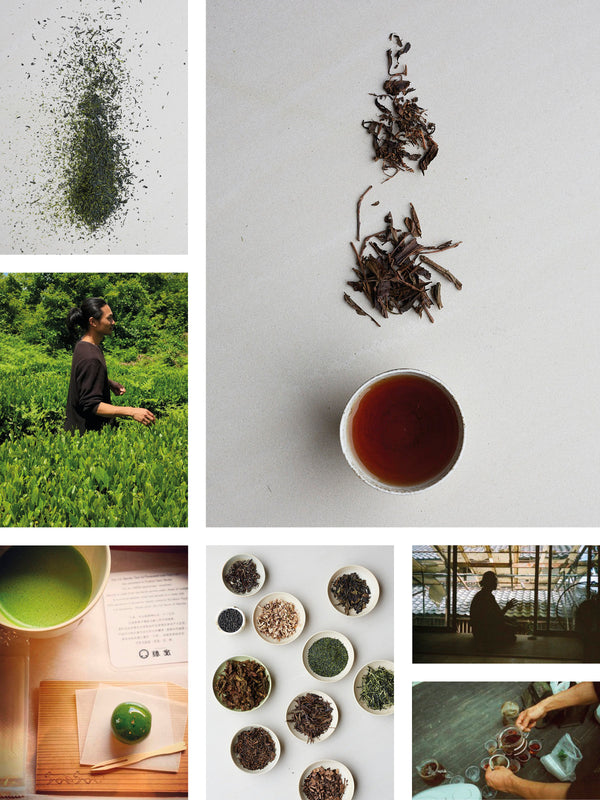 Noma in Kyoto | Noma Projects · Noma Projects